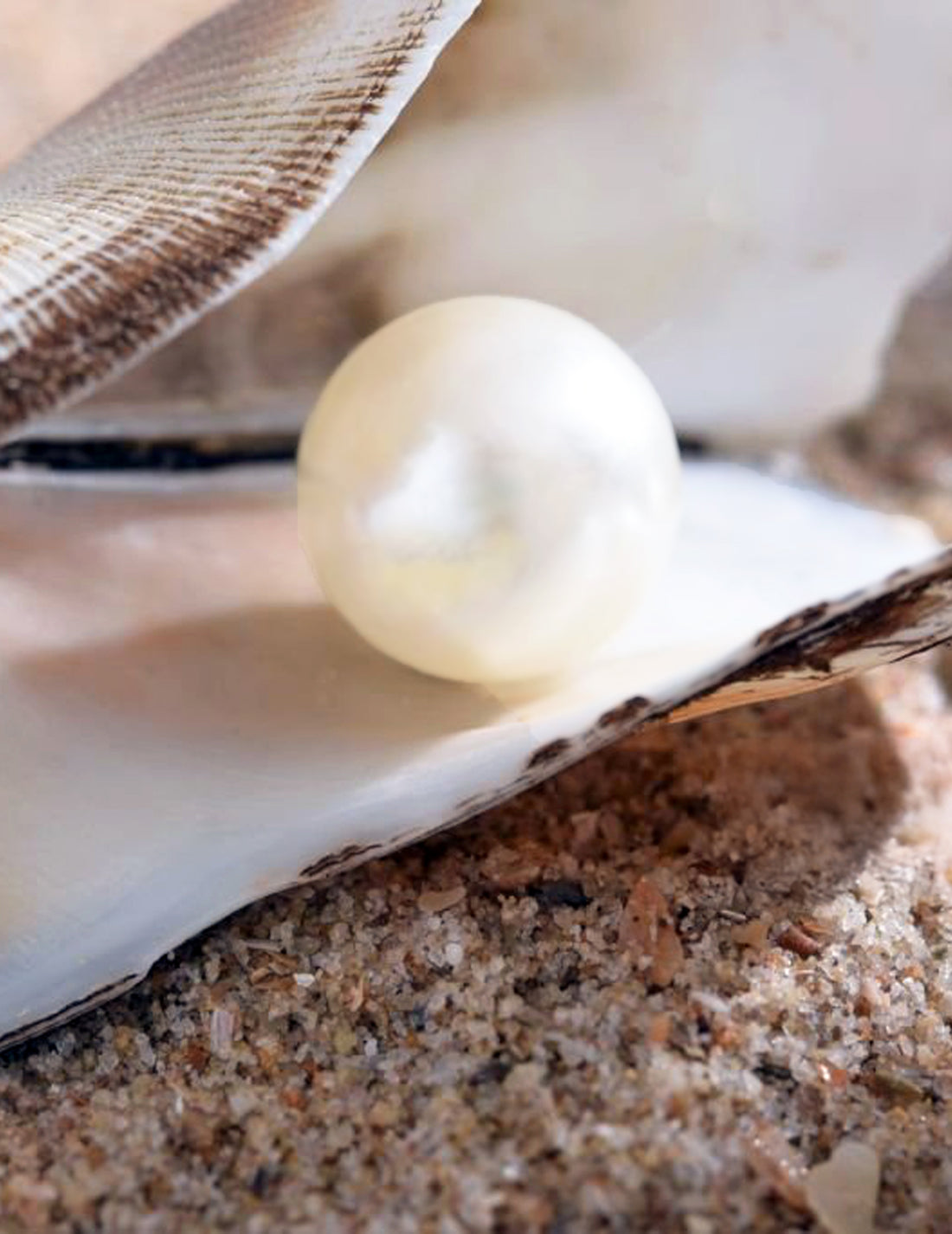 Jescojes - Luxury Necklaces, Earrings, Rings and Bracelets for Women ...